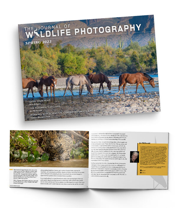 Monthly Subscription - Journal of Wildlife Photography