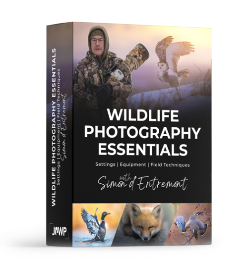 Simon D'entremont: Wildlife Essentials - Journal of Wildlife Photography