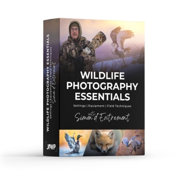 Wildlife Photo Essentials with Simon d’Entremont - Journal of Wildlife ...
