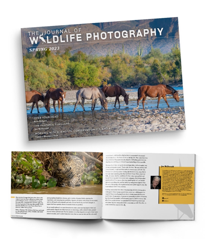 Home - Journal of Wildlife Photography