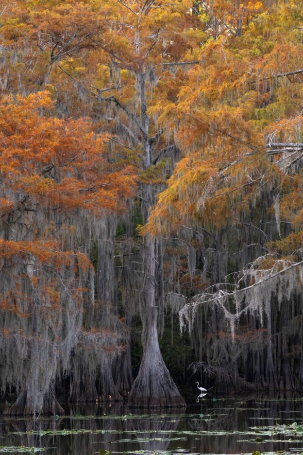 Simon d’Entremont's 10-Photo Challenge 2023 Winners - Journal of ...