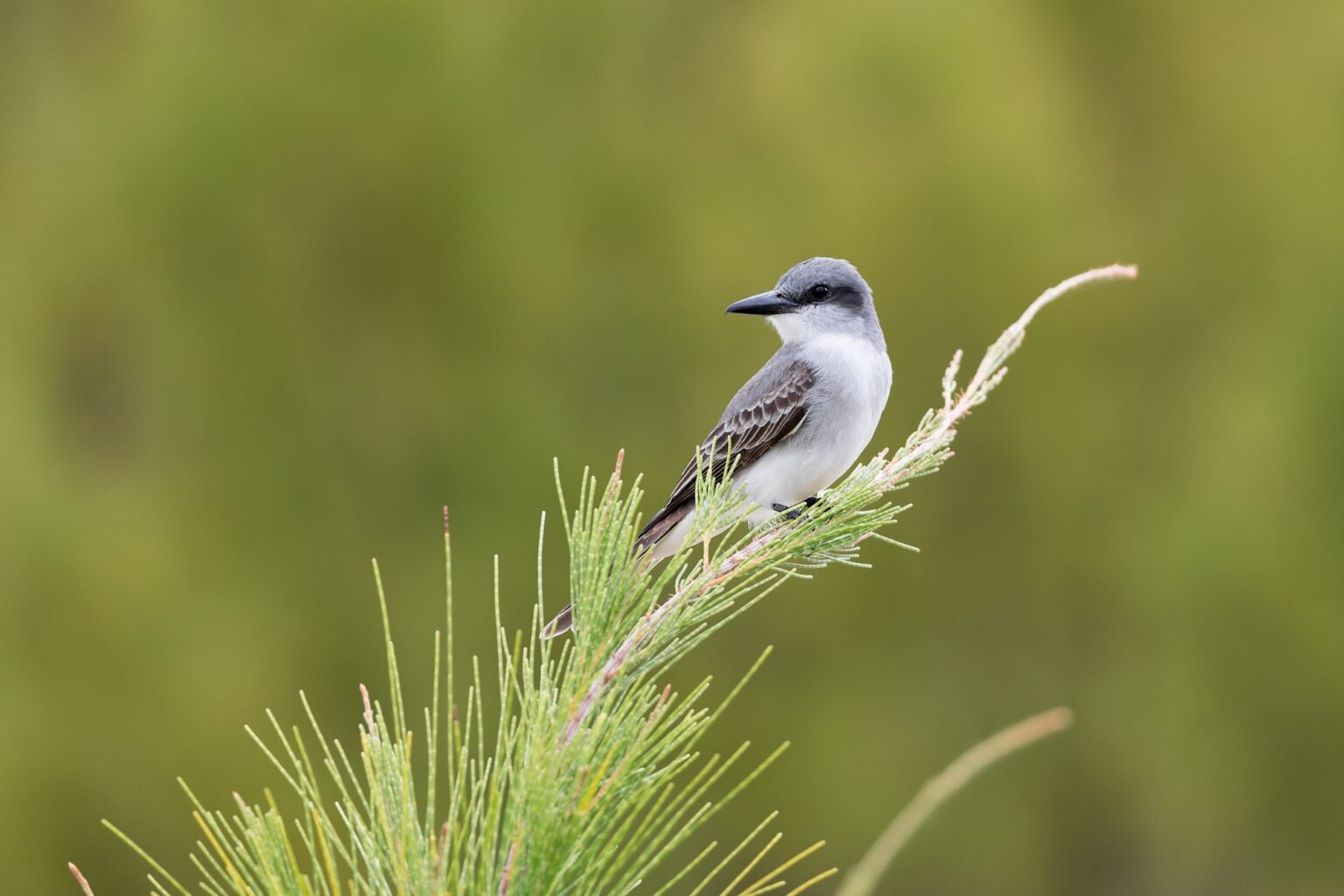 Simon d’Entremont's 10-Photo Challenge 2023 Winners - Journal of ...