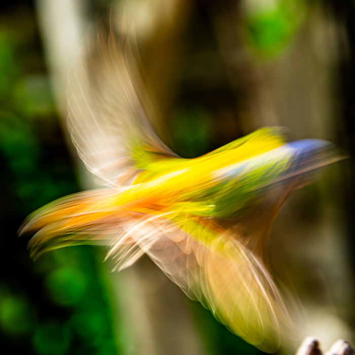 Simon d’Entremont's 10-Photo Challenge 2023 Winners - Journal of ...