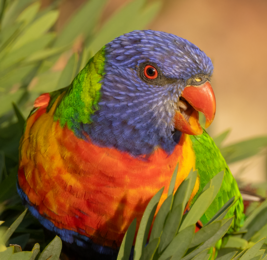 Simon d’Entremont's 10-Photo Challenge 2023 Winners - Journal of ...