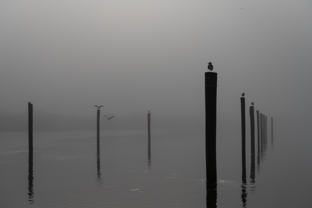 Simon d’Entremont's 10-Photo Challenge 2023 Winners - Journal of ...