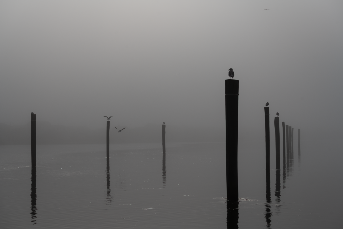 Simon d’Entremont's 10-Photo Challenge 2023 Winners - Journal of ...