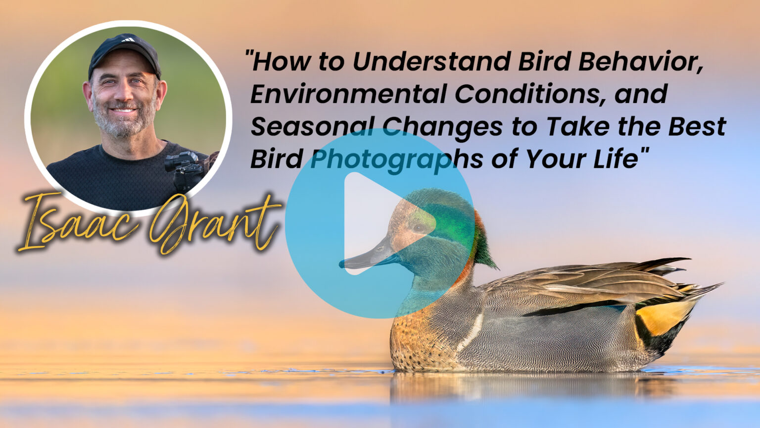 Module 1: How to Create a Compelling Image Intro - Journal of Wildlife ...