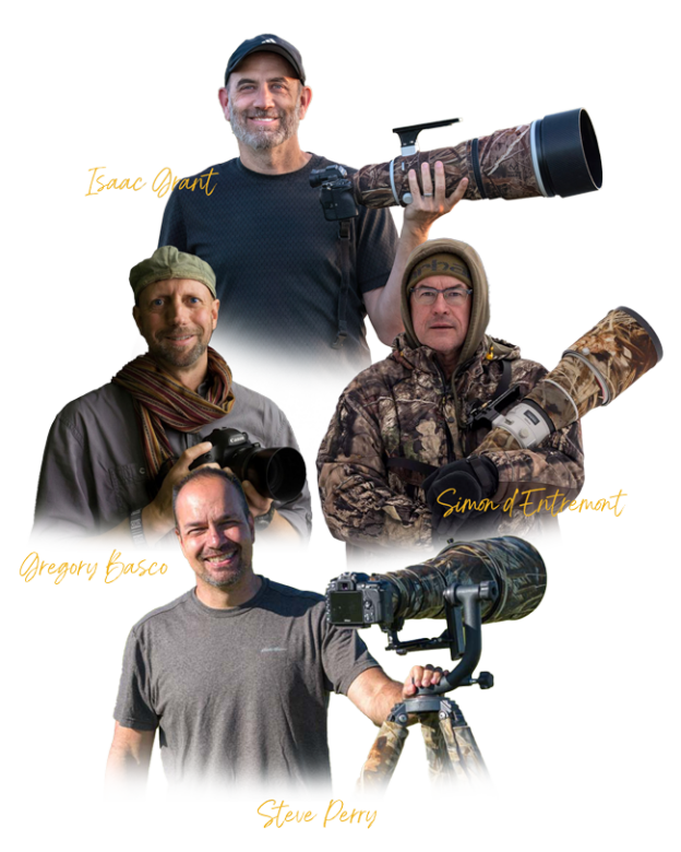 JoWP: Journal of Wildlife Photography - Journal of Wildlife Photography