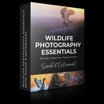 Wildlife Photography Courses - Journal of Wildlife Photography