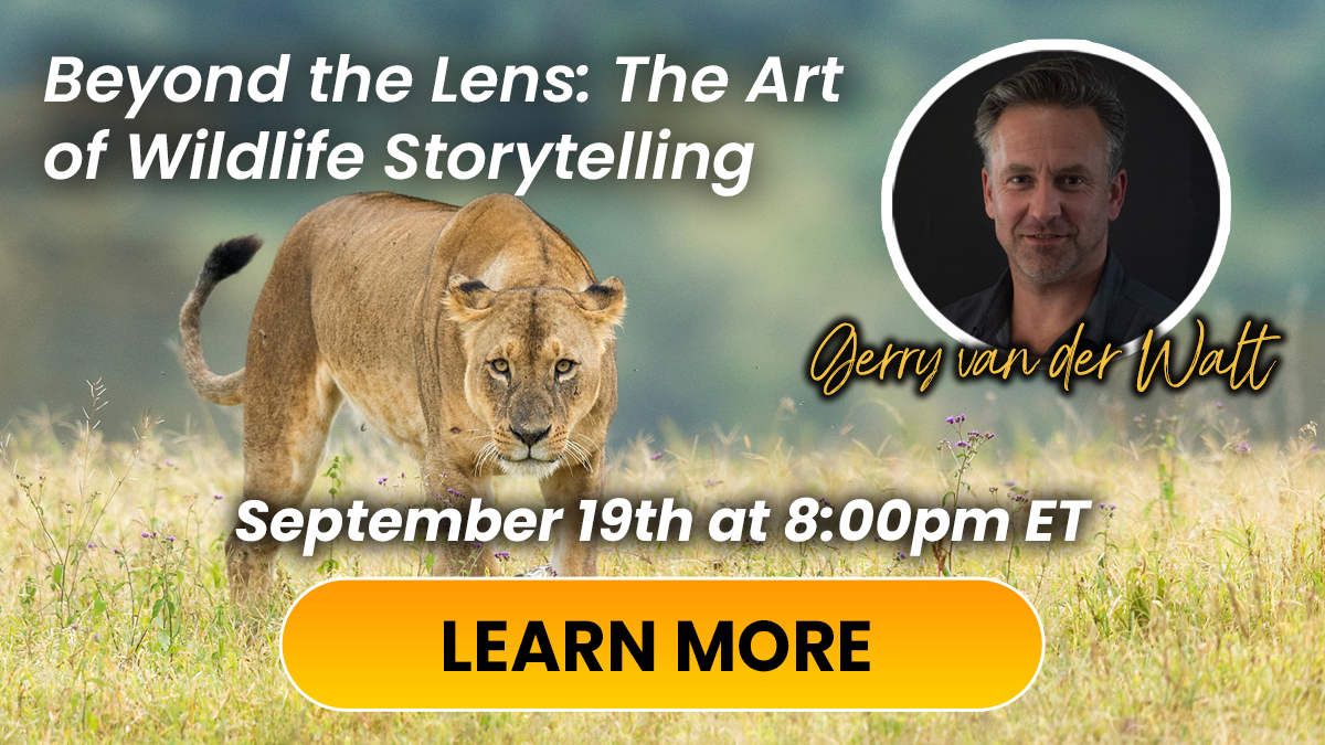 Beyond the Lens: The Art of Wildlife Storytelling - Journal of Wildlife ...