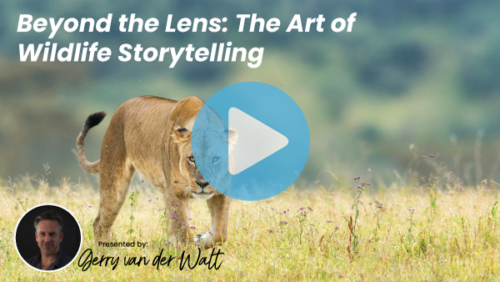 Monthly Trainings - Journal of Wildlife Photography