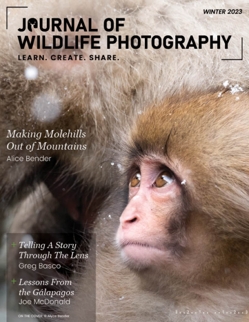 Magazine - Journal of Wildlife Photography