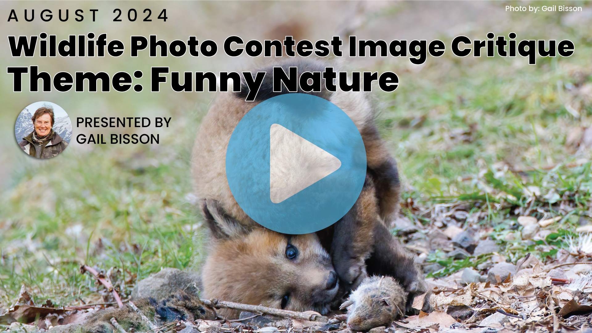 August 2024 Photo Contest Image Critique - Journal of Wildlife Photography