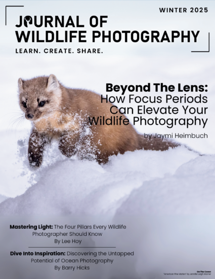 Magazine - Journal of Wildlife Photography