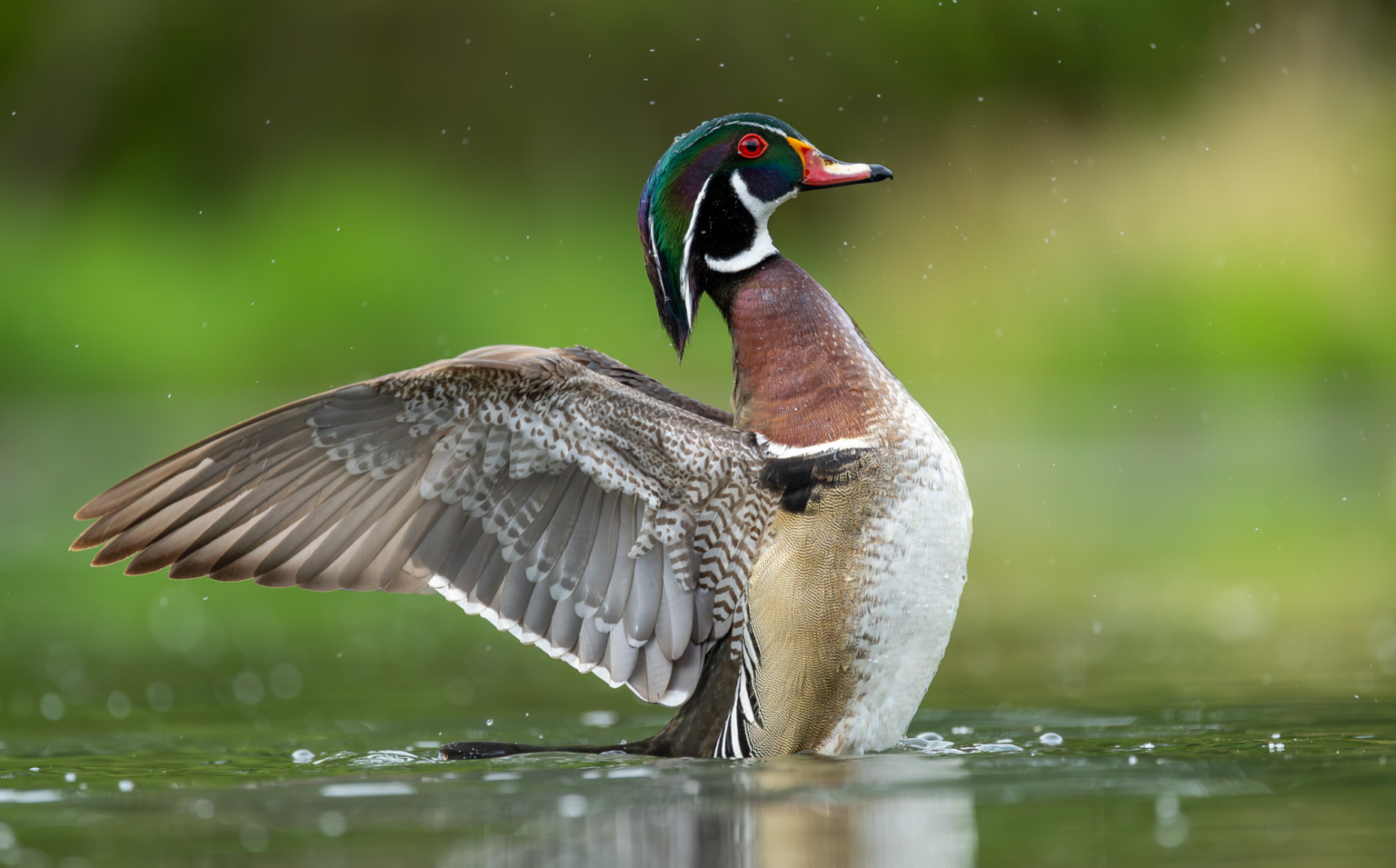 Simon d’Entremont's 10-Photo Challenge 2024 Winners - Journal of ...
