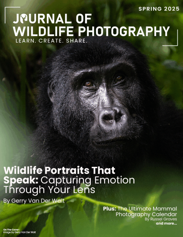Magazine - Journal of Wildlife Photography