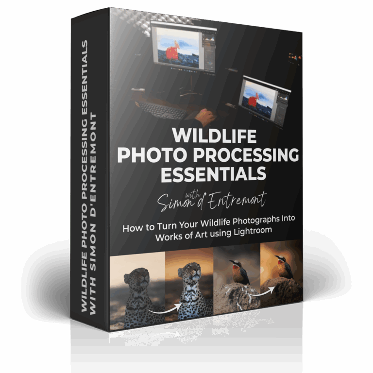 Wildlife Photography Courses - Journal of Wildlife Photography