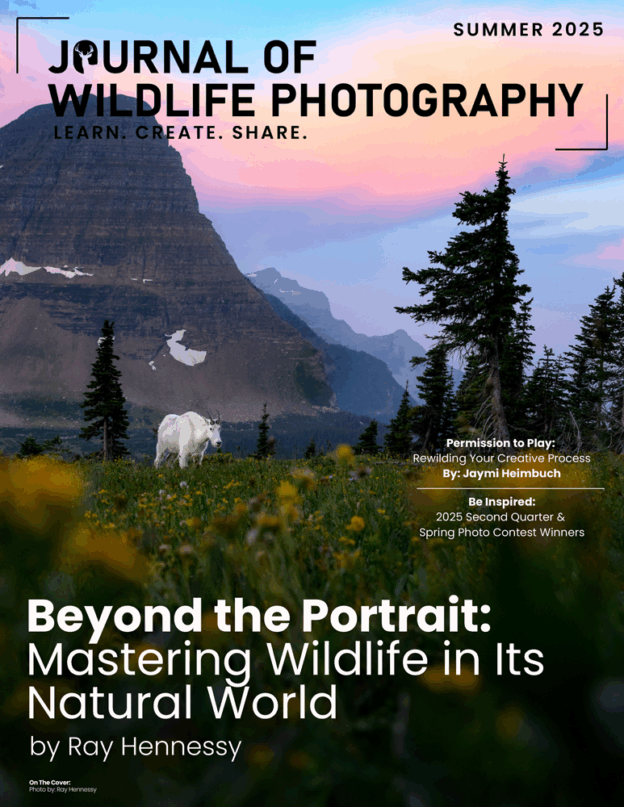 Magazine - Journal of Wildlife Photography