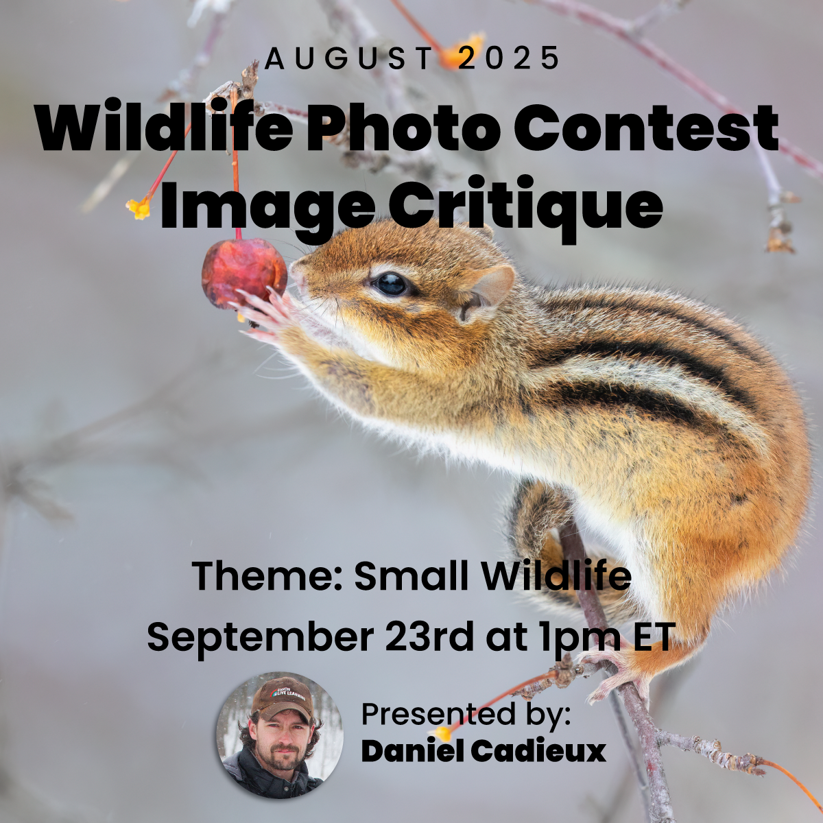 August 2025 Photo Contest Image Critique - Journal of Wildlife Photography