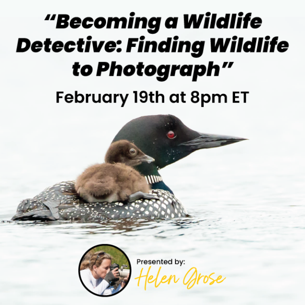 Monthly Trainings - Journal of Wildlife Photography